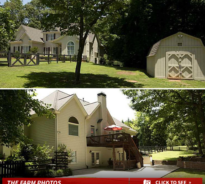 Ne-Yo Drops $520K On Farmette | TMZ.com